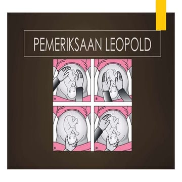 peperiksaan abdomen palpasi menurut leopold.pdf