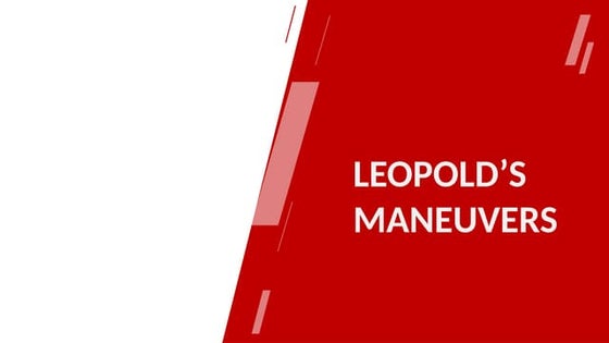 Leopold’s Maneuver | PPTX | Pregnancy | Reproductive Health