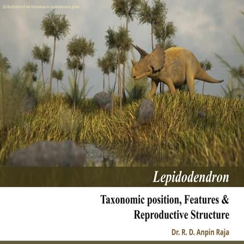 Lepidodendron.pptx palaeobotany slide.... | PPTX