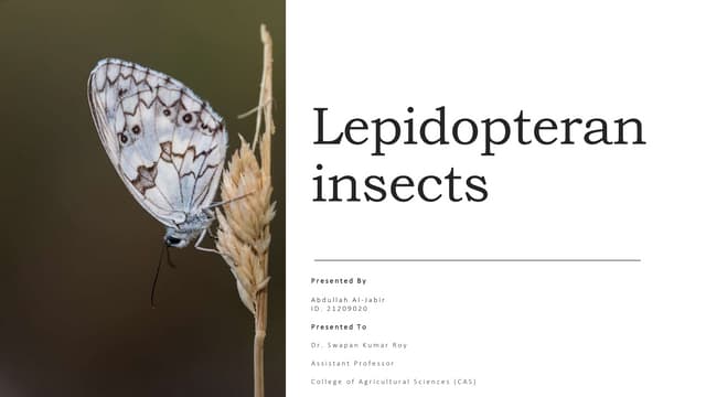 Identification of predators ppt | PPTX