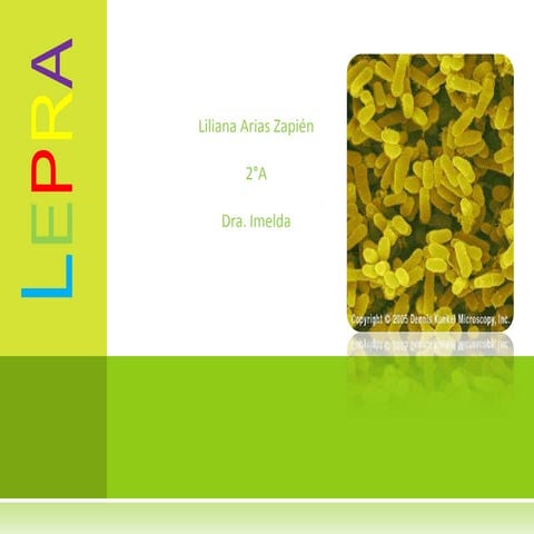 Lepra | PPTX