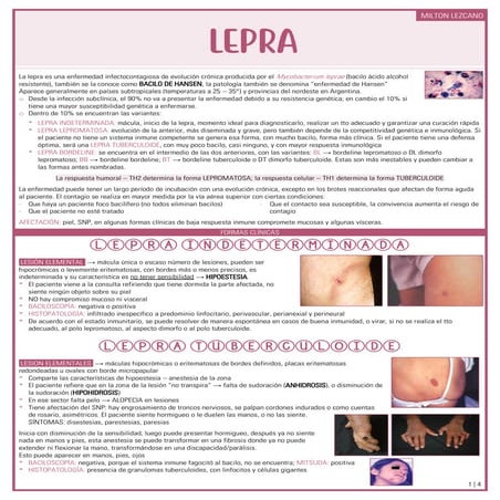 LEPRA SEMIOLOGÍA DERMATOLOGICA MEDICA UNNE | PDF