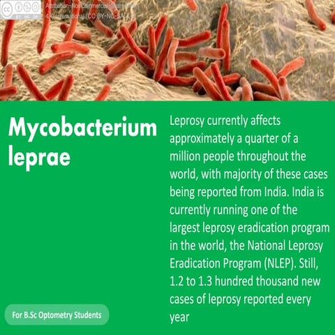 Mycobacterium Leprae | PPT