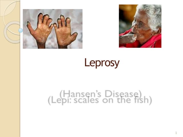 Pathophysiology of Leprosy | PDF