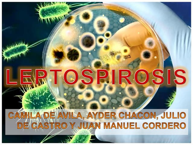 Leptospirosis | PPTX