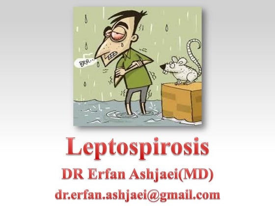 Leptospirosis | PPTX