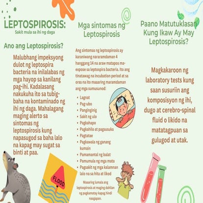 leptospirosis brochure tagalog versionnn | PDF