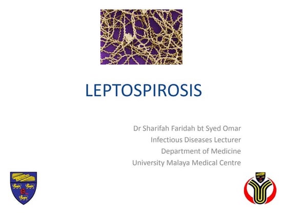 Leptospirosis | PPTX