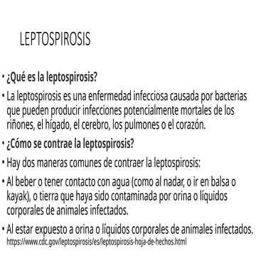 leptospirosis | PPTX