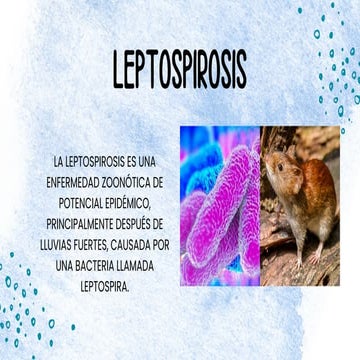 LEPTOSPIROSIS.pdfmaterial de apoyo para estudiantes | PDF