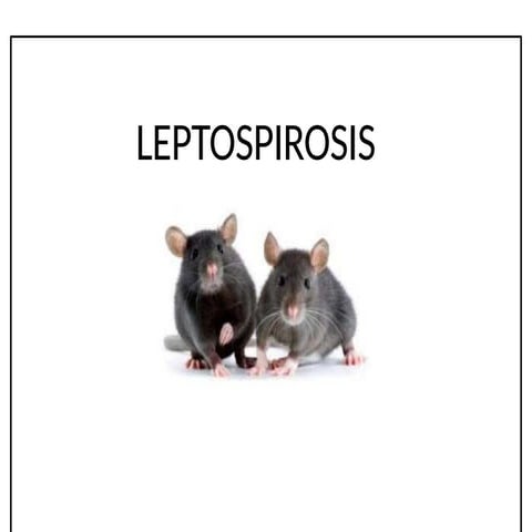 Leptospirosis | PPTX