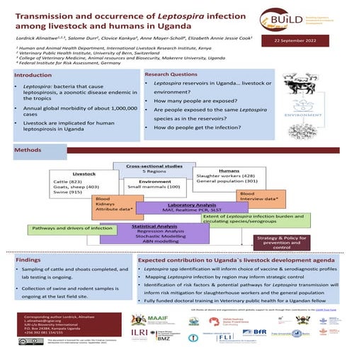Transmission and occurrence of Leptospira infection among livestock and ...