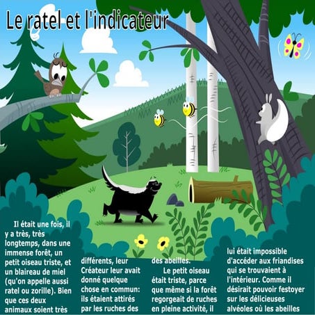 Le Ratel Et Lindicateur Ppt