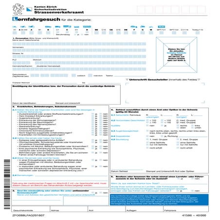 Lernfahrgesuch | PDF
