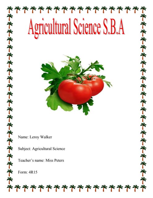 Broiler SBA.docx for agricultural science csec | DOCX