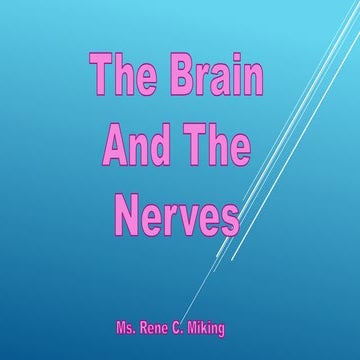 Brain stem | PPT
