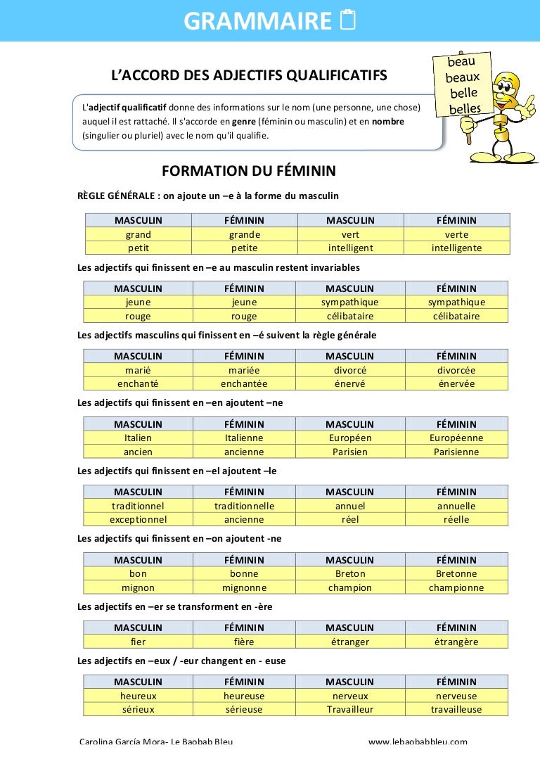 le féminin et le pluriel des adjectifs