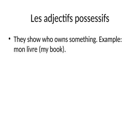 Possessive Adjectives in French Language | PPTX