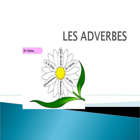 Les adjectifs BAGS/BANGS | PPT