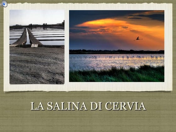 Grandi Marchi Menu | PDF
