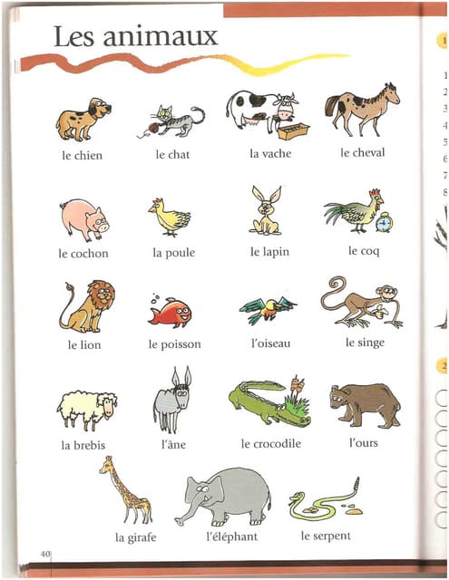 les animaux male/female/cri | PDF