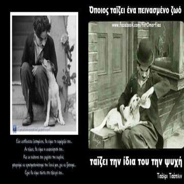 ΔΙΕΘΝΗΣ ΗΜΕΡΑ ΑΔΕΣΠΟΤΩΝ ΖΩΩΝ.ΔΡΑΣΗ 2ου ΓΥΜΝΑΣΙΟΥ ΛΕΡΟΥ( 04/04/2021). | PPTX
