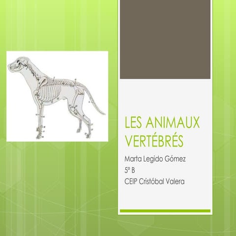 Les animaux vertebrés. marta legido 5ºb | PPTX