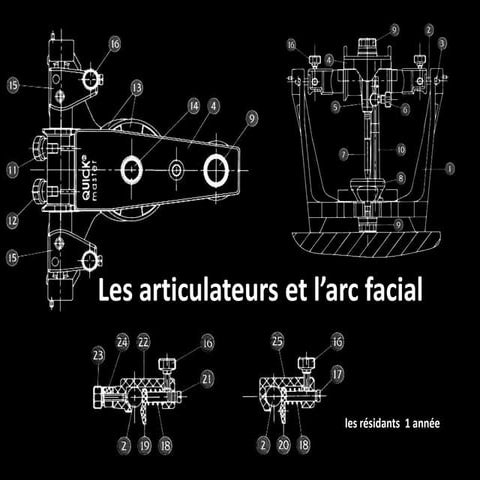 les articulateurs et les arcs faciaux | PPTX