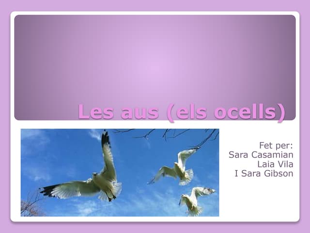Les aus | PPTX