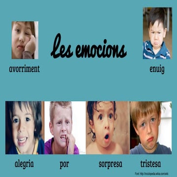 Kit bàsic:Les emocions | PDF