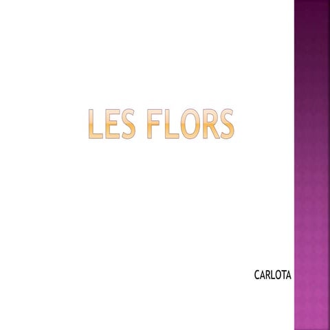 Les flors | PPTX