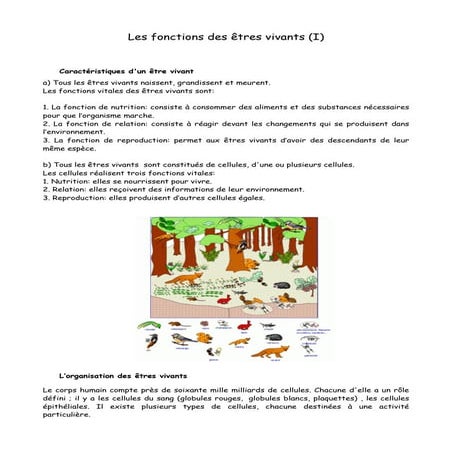 Les fonctions des etres vivants | PDF