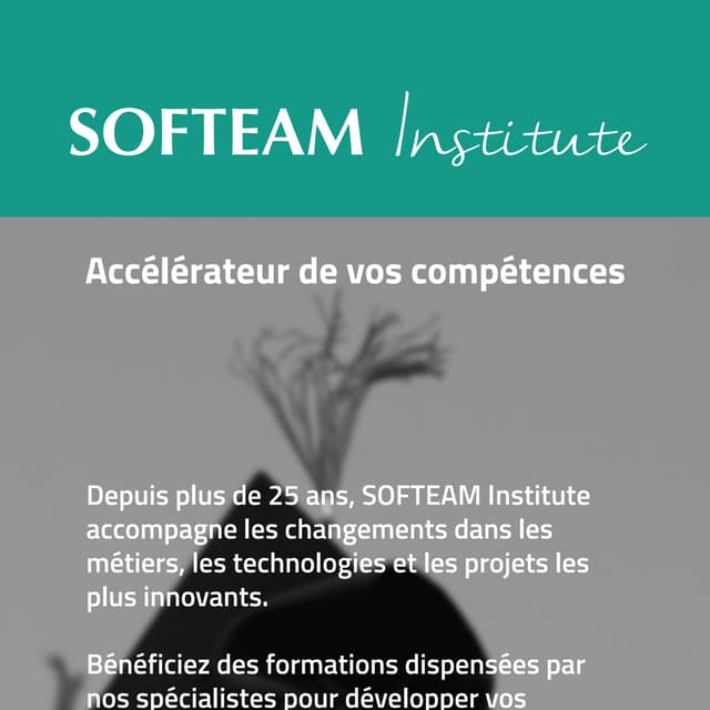 Les formations softeam_institute | PDF | Web Development | Internet