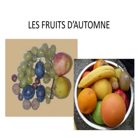Les fruits d'automne | PPTX