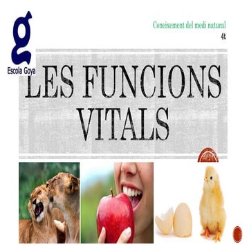 Les funcions vitals PWP | PPTX