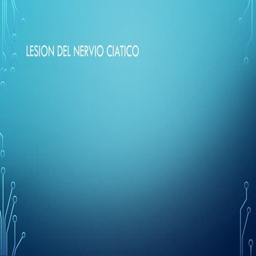 RESUMEN DE LESION DEL NERVIO CIATICO.pptx