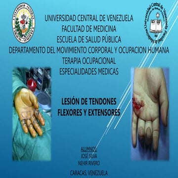 LESION_DE_TENDONES_FLEXORES_Y_EXTENSORES.pptx