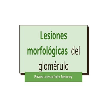 Lesiones morfológicas del glomérulo Nefrologia | PPTX