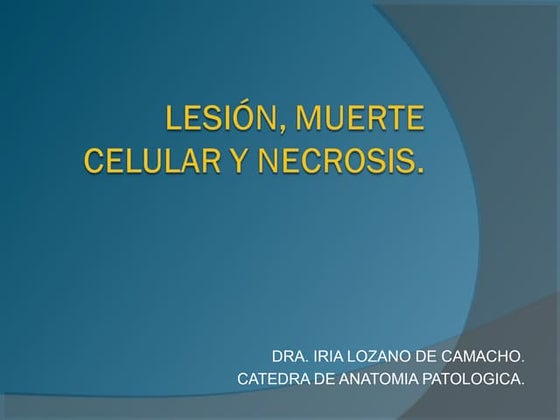 Cambios morfologicos celulares en la necrosis full version1.2 | PPT