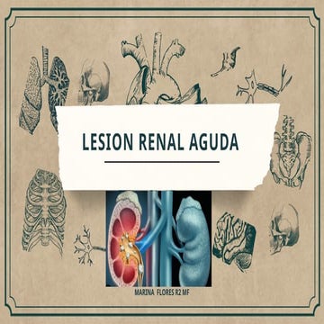 Comprehensive Overview of Acute Kidney Injury: Diagnosis, Etiology, and ...