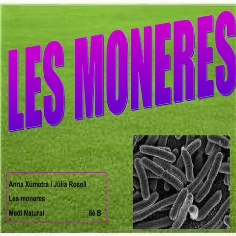 Les moneres | PPT