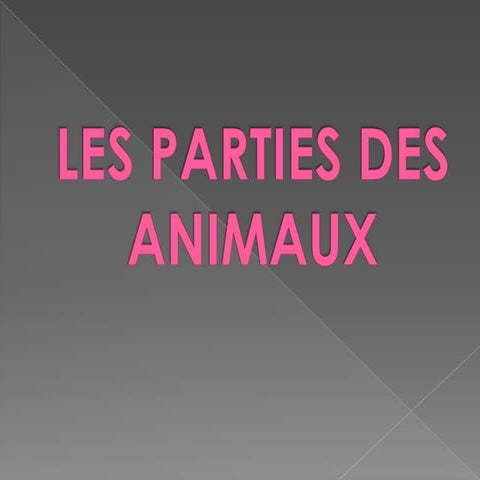 Les parties des animaux | PPTX
