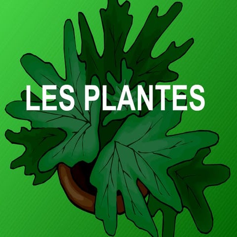 Les plantes | PPTX