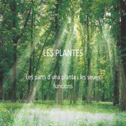 Les plantes | PPSX