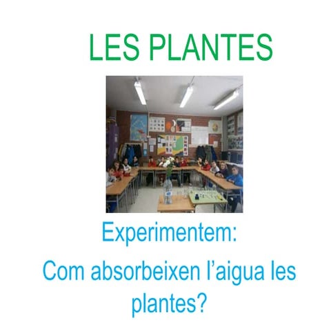 Les plantes | PPT
