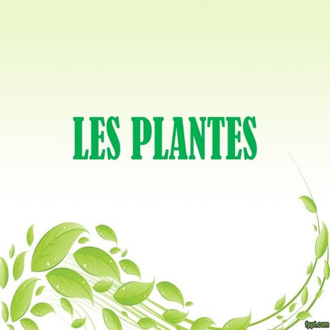 Les plantes | PPT