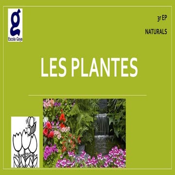 UNIT 5: ECOSYSTEMS | PPTX