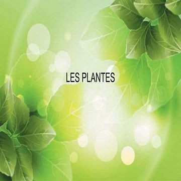 Les plantes 3er | PPT