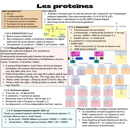 Les proteines. Biología 2n de batxillerat. | PDF