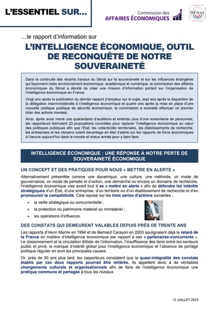 Autodiagnostic intelligence economique | PDF | Business | Business and Finance